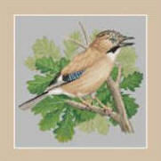 Jay - Cross Stitch Birds